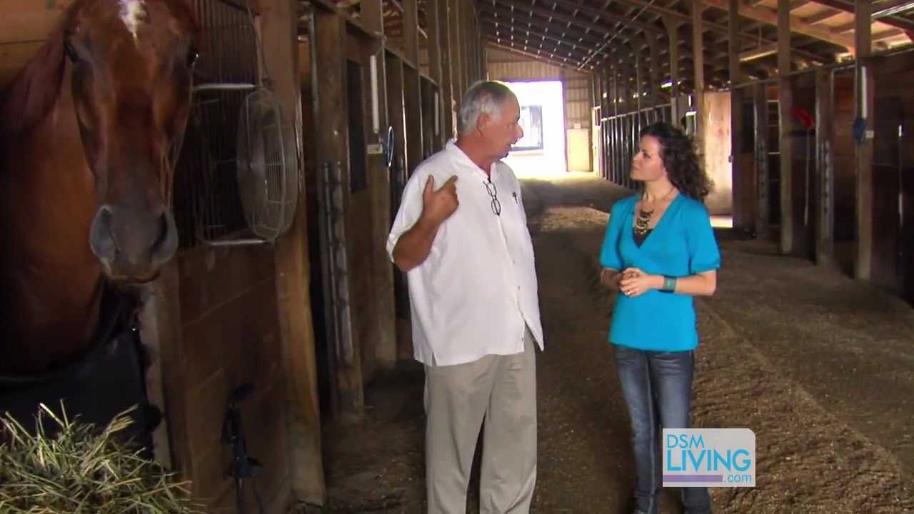 Behind the Scenes of Horse Racing - Prairie Meadows Racetrack & Casino ...