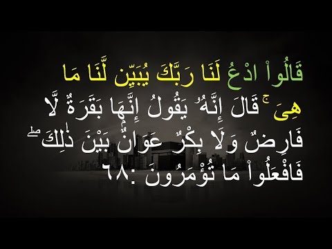 QS 2;68 69 EASY MEMORIZATION AL QURAN SURAH AL BAQARAH VERSE 68-69