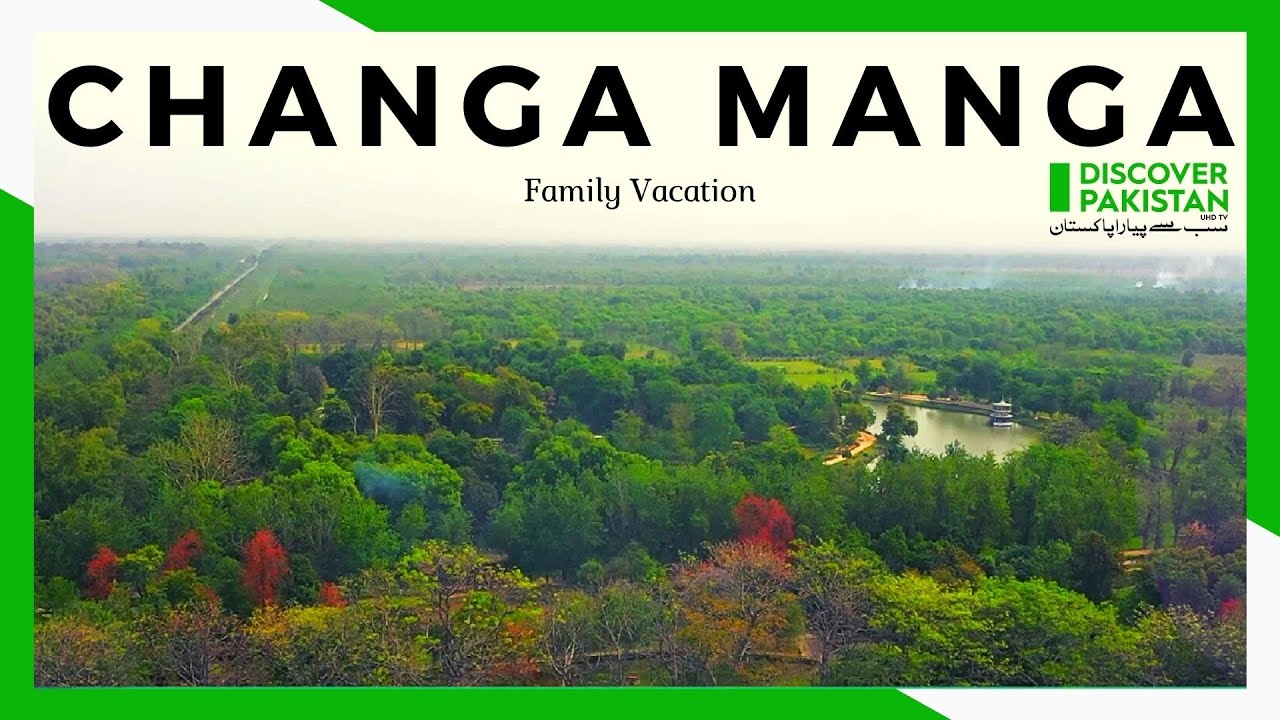 FAMILY VACATION | Changa Manga Forest Park | Largest Manmade Forest in ...