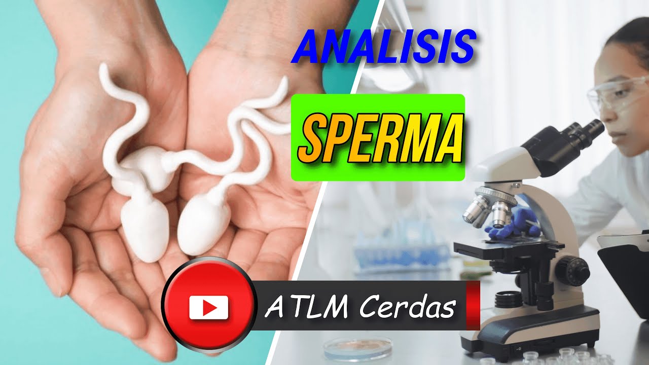 Pemeriksaan / Analisis Sperma di Laboratorium - YouTube