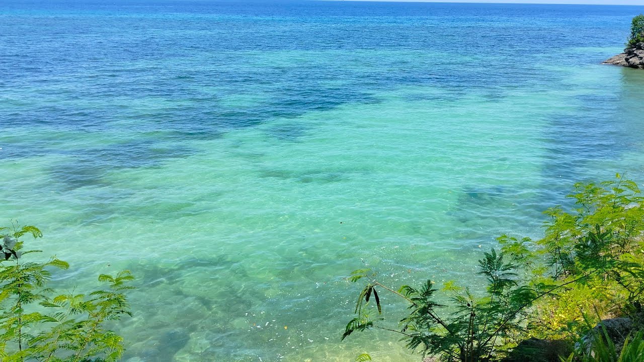 Retirement beach houses for sale ideal for a beach resort Bogo City ...