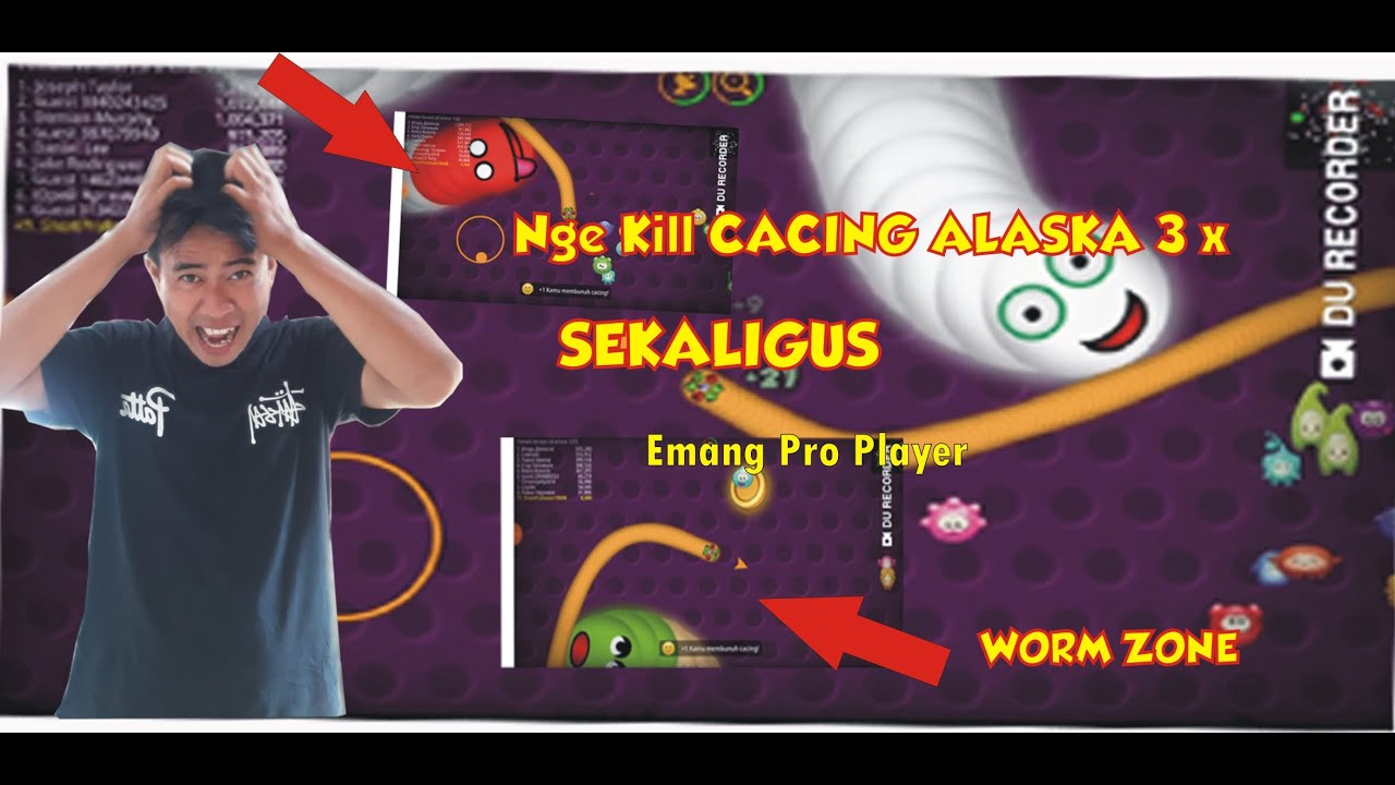 Nge Kill 3 Cacing Alaska Sekaligus....woooooww - YouTube