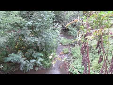 Astara (menzereleri)