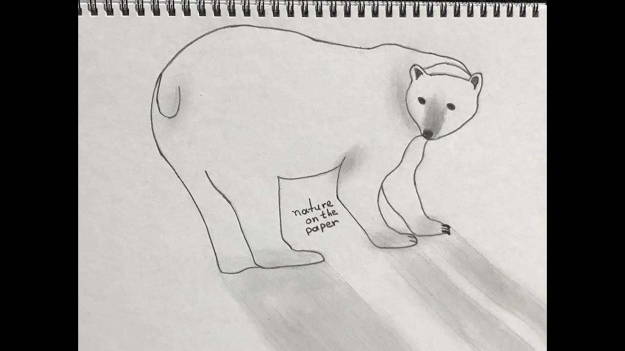 HOW TO DRAW BEAR/POLAR/ARCTIC BEAR/ΠΩΣ ΝΑ ΖΩΓΡΑΦΙΣΩ ΜΙΑ ΑΡΚΟΥΔΑ/ΠΟΛΙΚΗ ...