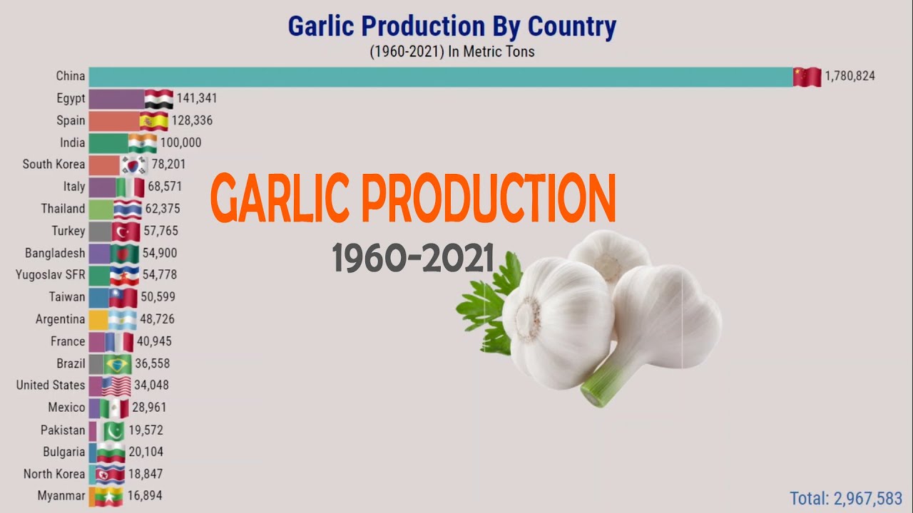 Largest Garlic Production By Country - YouTube