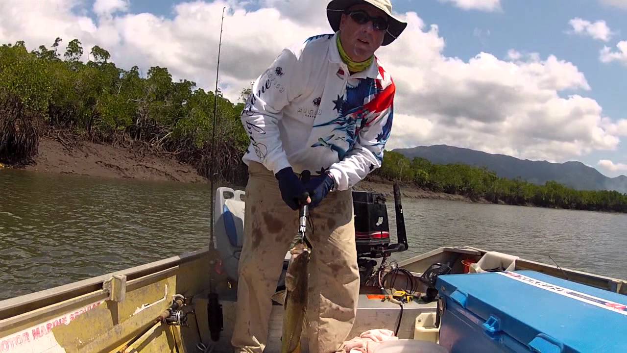 Barra Fishing Hinchinbrook Sept 2012 - YouTube