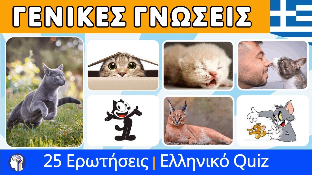 Quiz Γενικων Γνωσεων Μερος 5 | 25 Ερωτήσεις Για Τις Γατες | Ελληνικο ...