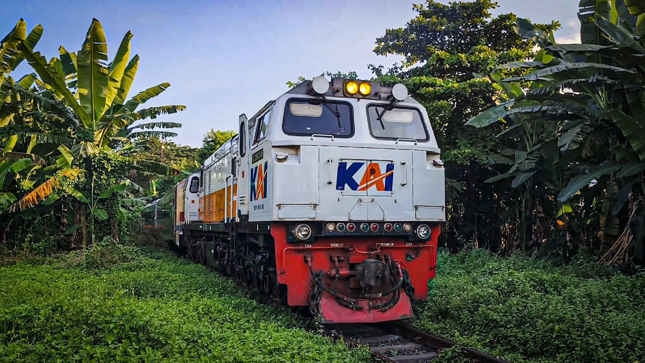 RINTANGAN KERETA API KETIKA MELEWATI JALUR PENUH SEMAK BELUKAR YANG ...