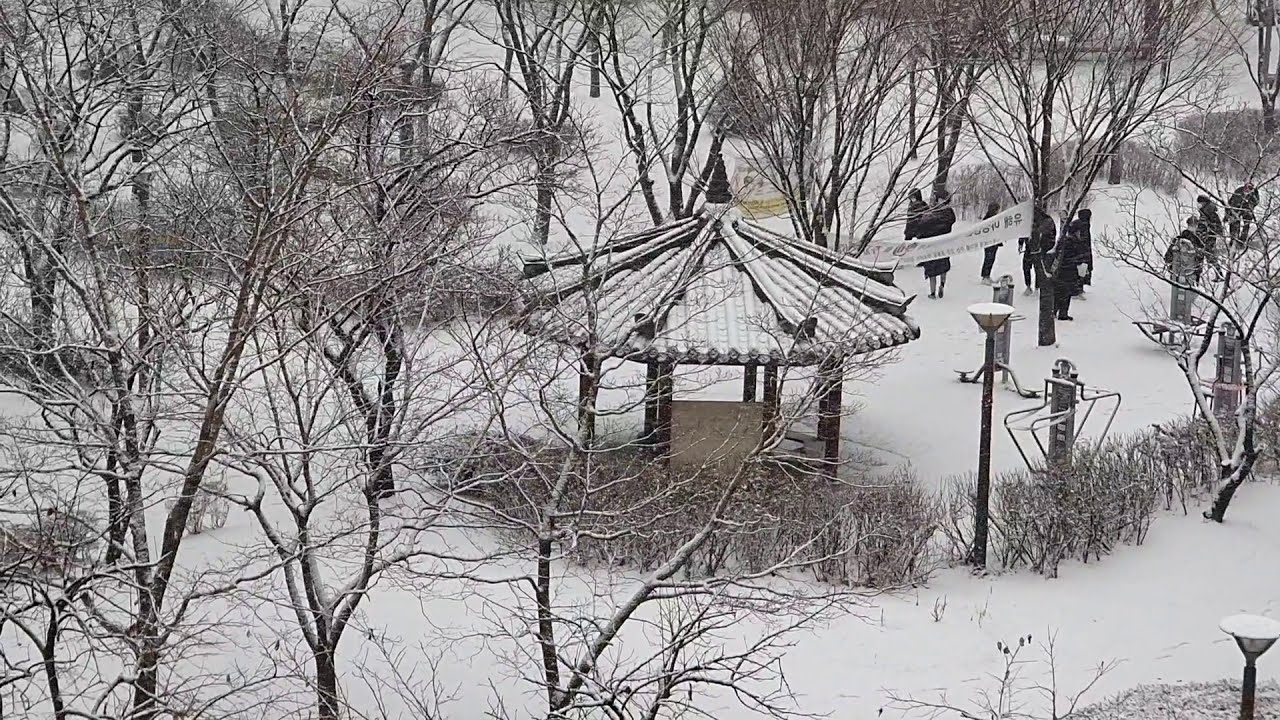 Snowfall in Incheon| Winter in South Korea 🇰🇷 - YouTube