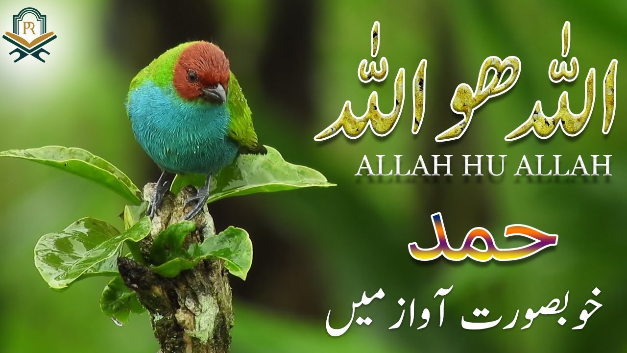 Hamd Allah Hu Allah اللہ ھو اللہ - YouTube