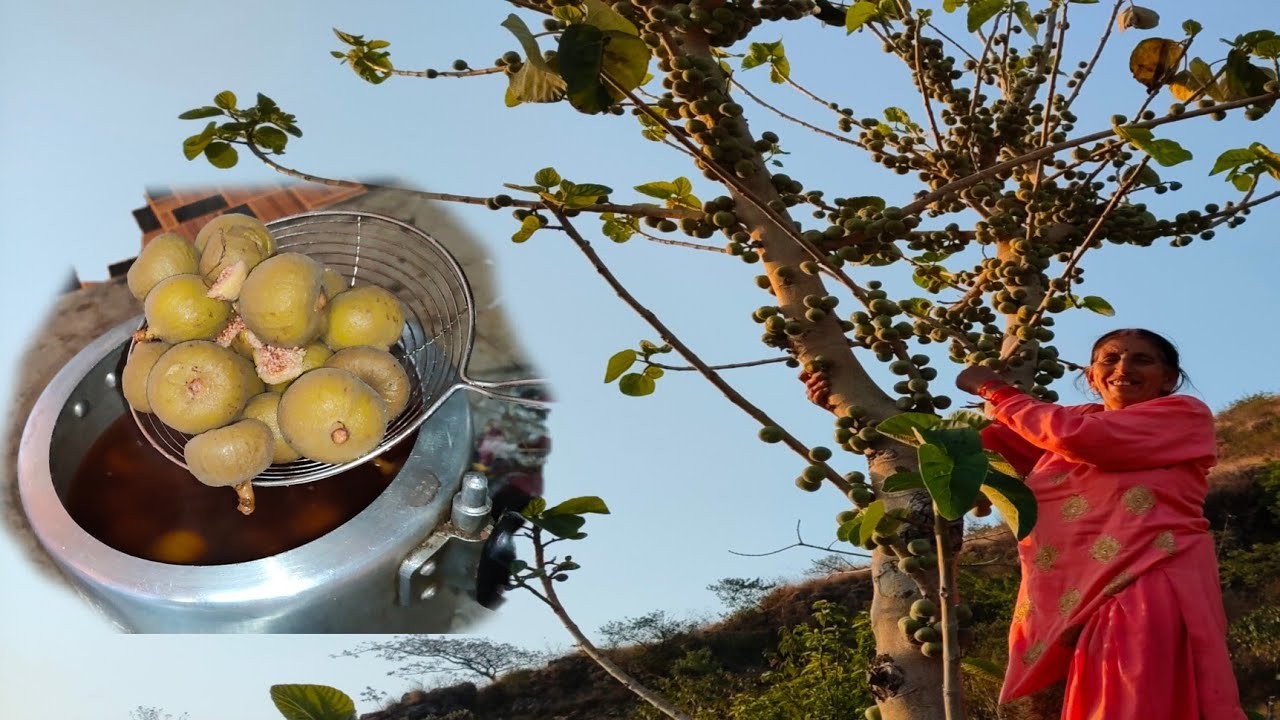 ये जंगली सब्जी खाई है कभी आपने??baddu त्यांबल की हिमाचली ट्रेडिशनल ...