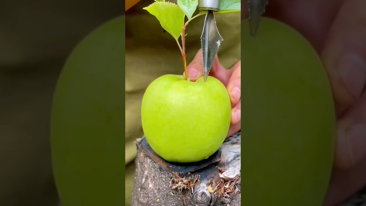 Enjoy Beautiful Nature With Ruler Life 🫒 #shorts #nature - YouTube