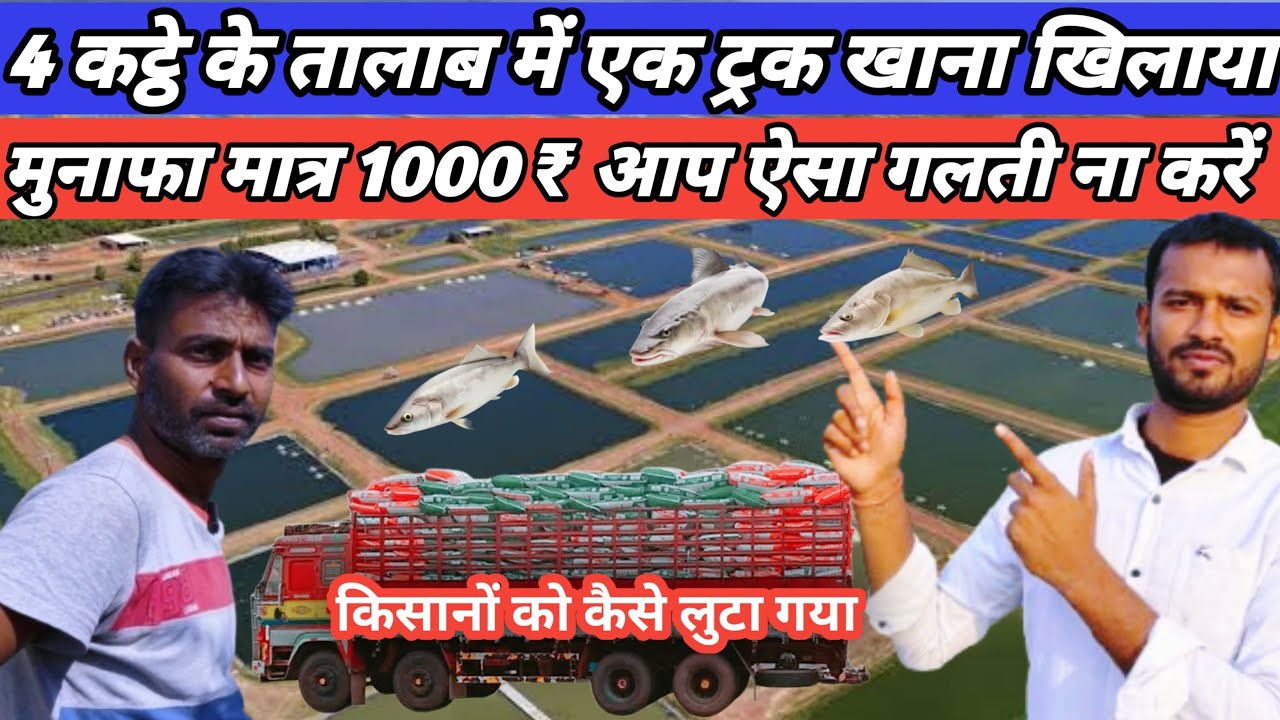 Fish farming kaise start Kare || machli palan kaise Kare || fish 🐠 ...