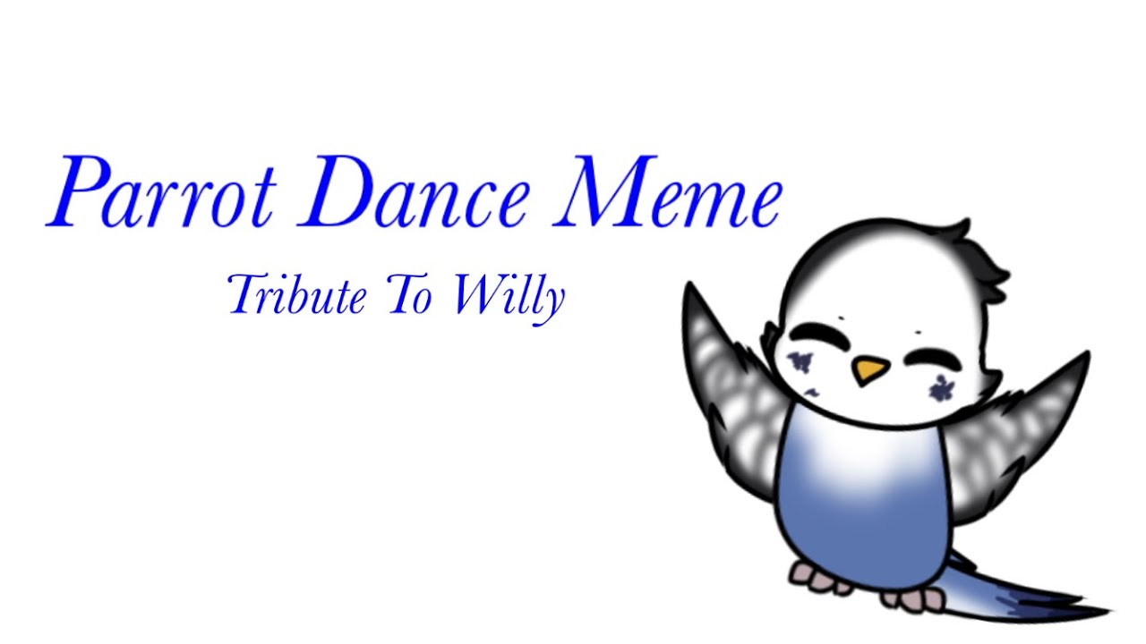 ~Parrot Dance Meme~ (Tribute To Willy, Read Description) - YouTube