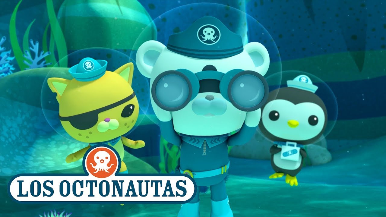 Los Octonautas Oficial En Español - Las aventuras más emocionantes ...