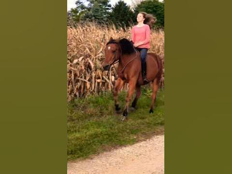 Beautiful fall day! - YouTube