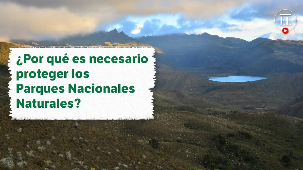 ¿Por qué es necesario proteger los Parques Nacionales Naturales? - YouTube