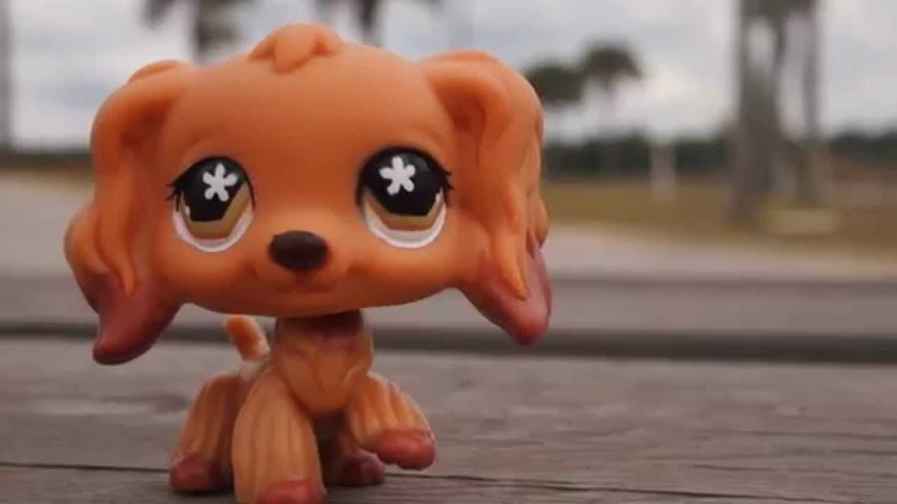 LPS: Nowe intro kanału - YouTube