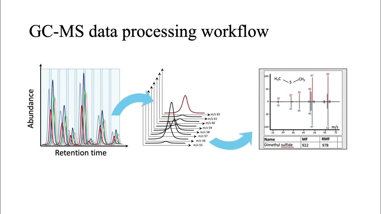 Asthma Biomarker Detection using Machine Learning - YouTube