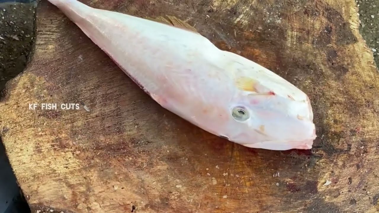WHITE CHINESE POMFRET FISH SLICE CUTTING🔪KF FISH CUTS - YouTube