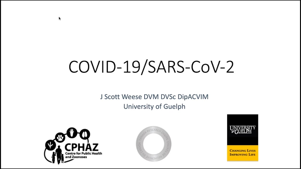 Practicing Veterinary Medicine in a COVID 19 Era with Dr Scott Weese ...