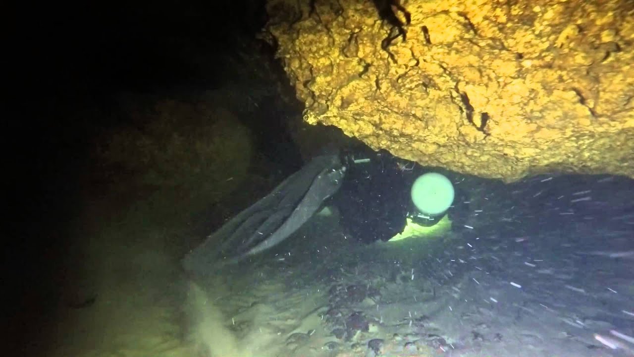 Anderson Spring, Florida - Dec 4, 2015 - YouTube