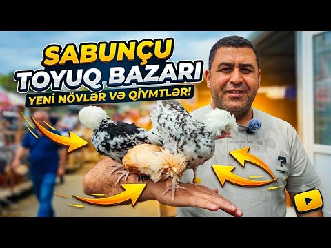 Sabunçu Toyuq Bazarı. 28 iyun 2026