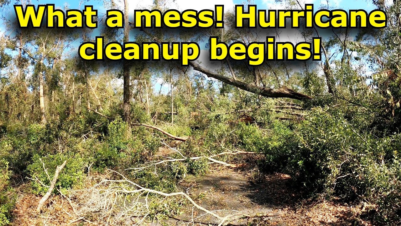 What a MESS! Hurricane Idalia cleanup begins! John Deere 4066r #832 ...