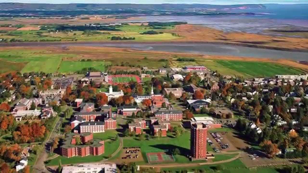 My First Ever Vlog!? Acadia University Barrax Room Tour - YouTube