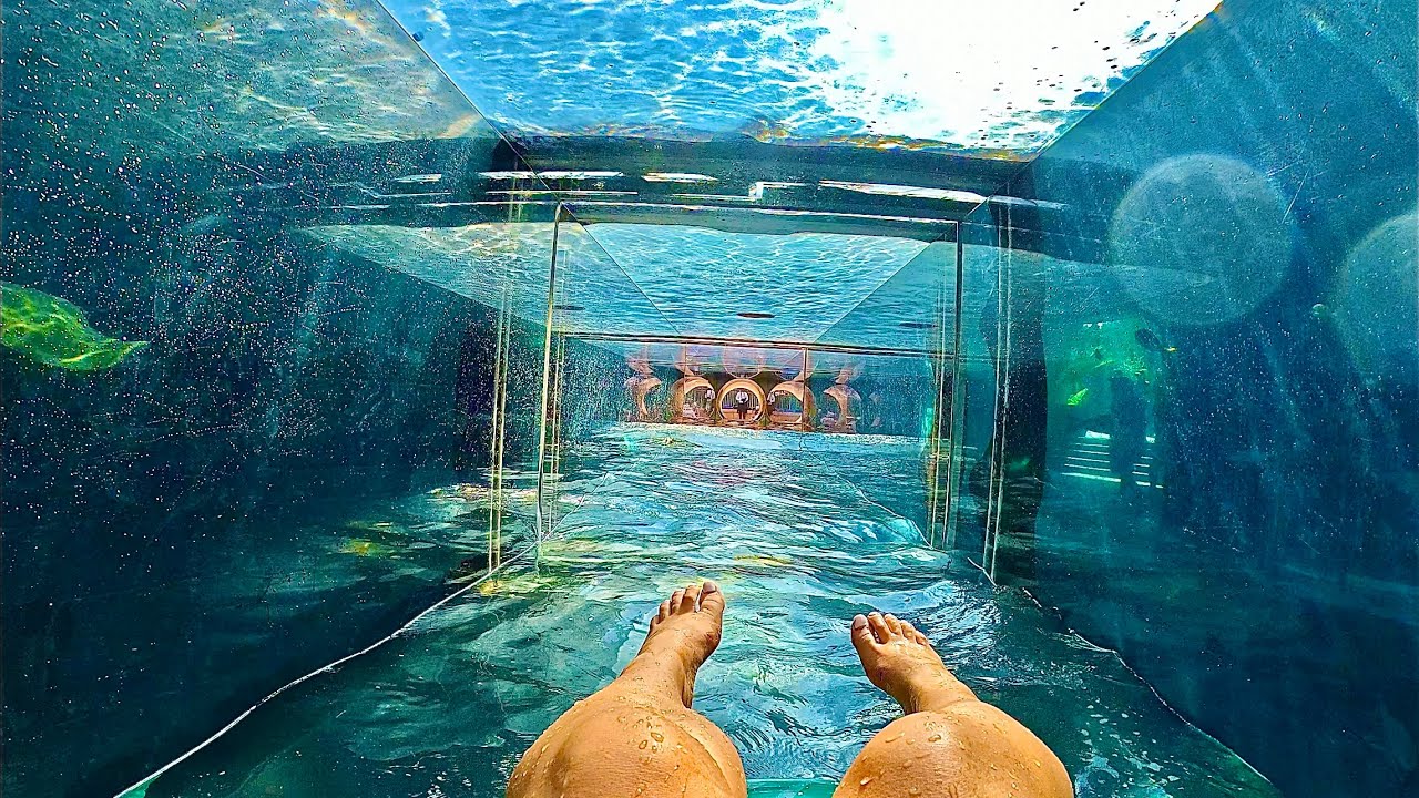 Shark Attack Water Slide at Aquaventure Waterpark Dubai - YouTube
