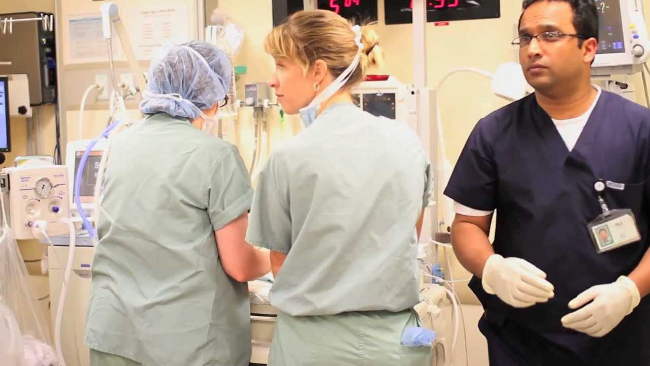 The "Golden Hour" - YouTube