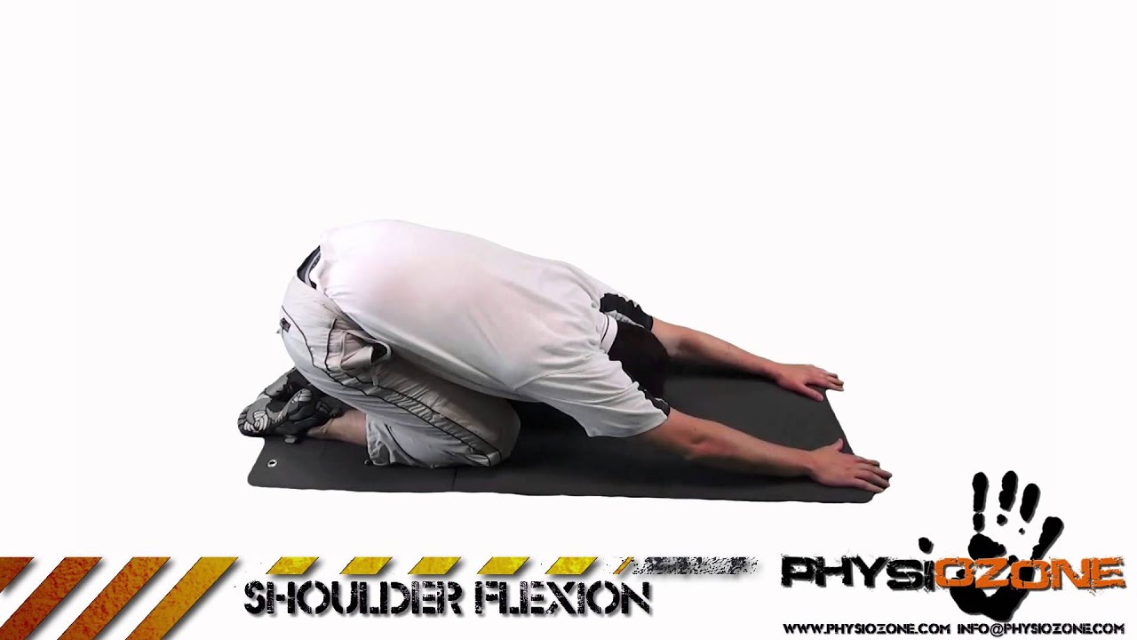Physiozone | Stretches | Shoulder | Shoulder Flexion - YouTube