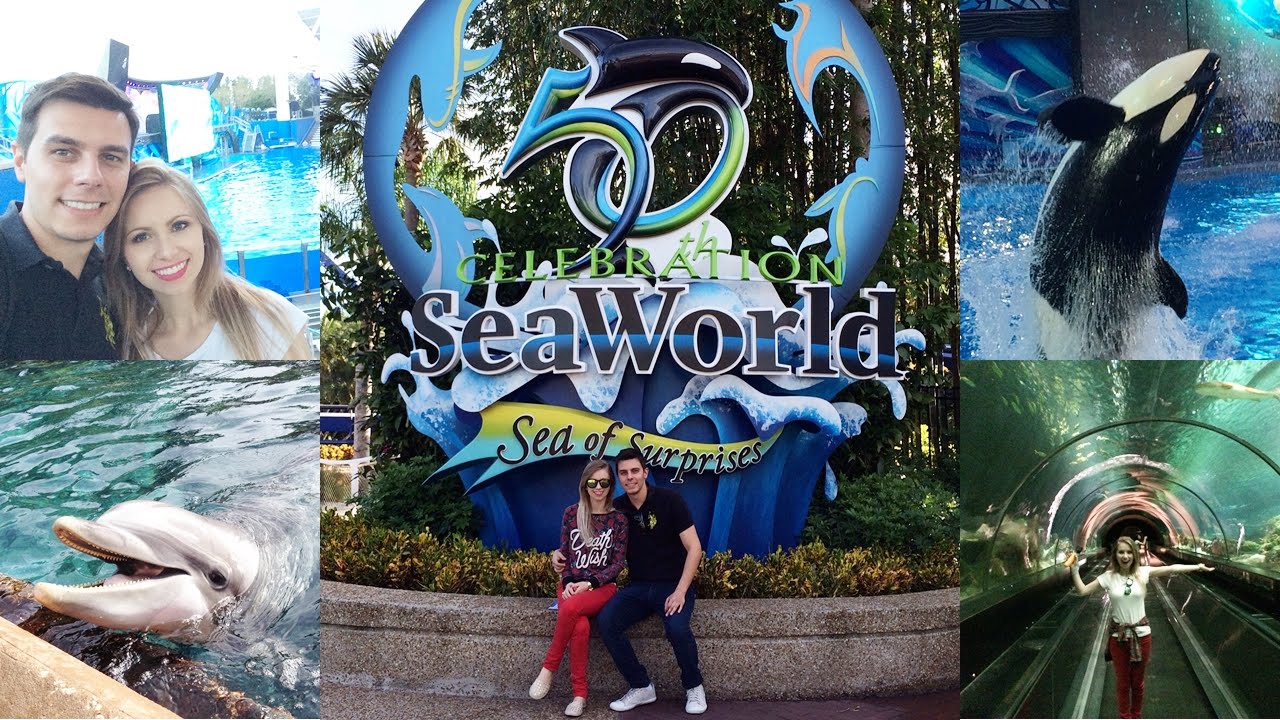 SEAWORD, O PARQUE MAIS INCRÍVEL - Vlog Orlando - YouTube