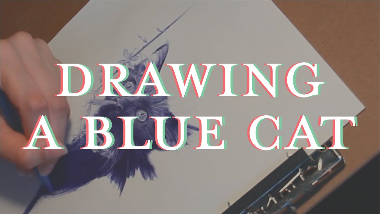Drawing a Blue Cat | STUDIO #drawwithme - YouTube