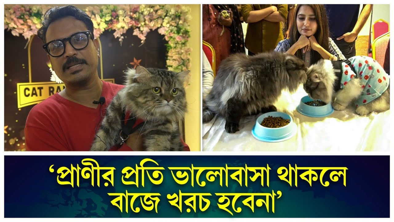বিড়াল খাবারে মুখ দিলে সে খাবার খাওয়া যাবে কিনা ? । Cat Lover in ...