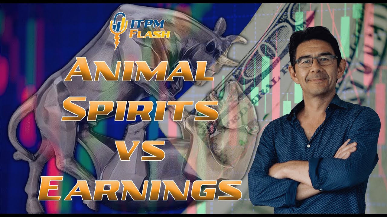 ITPM Flash Ep27 Animal Spirits vs Earnings - YouTube