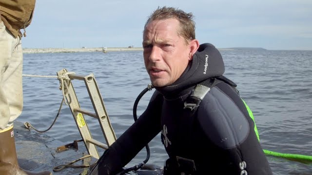 Diver's Ed - YouTube