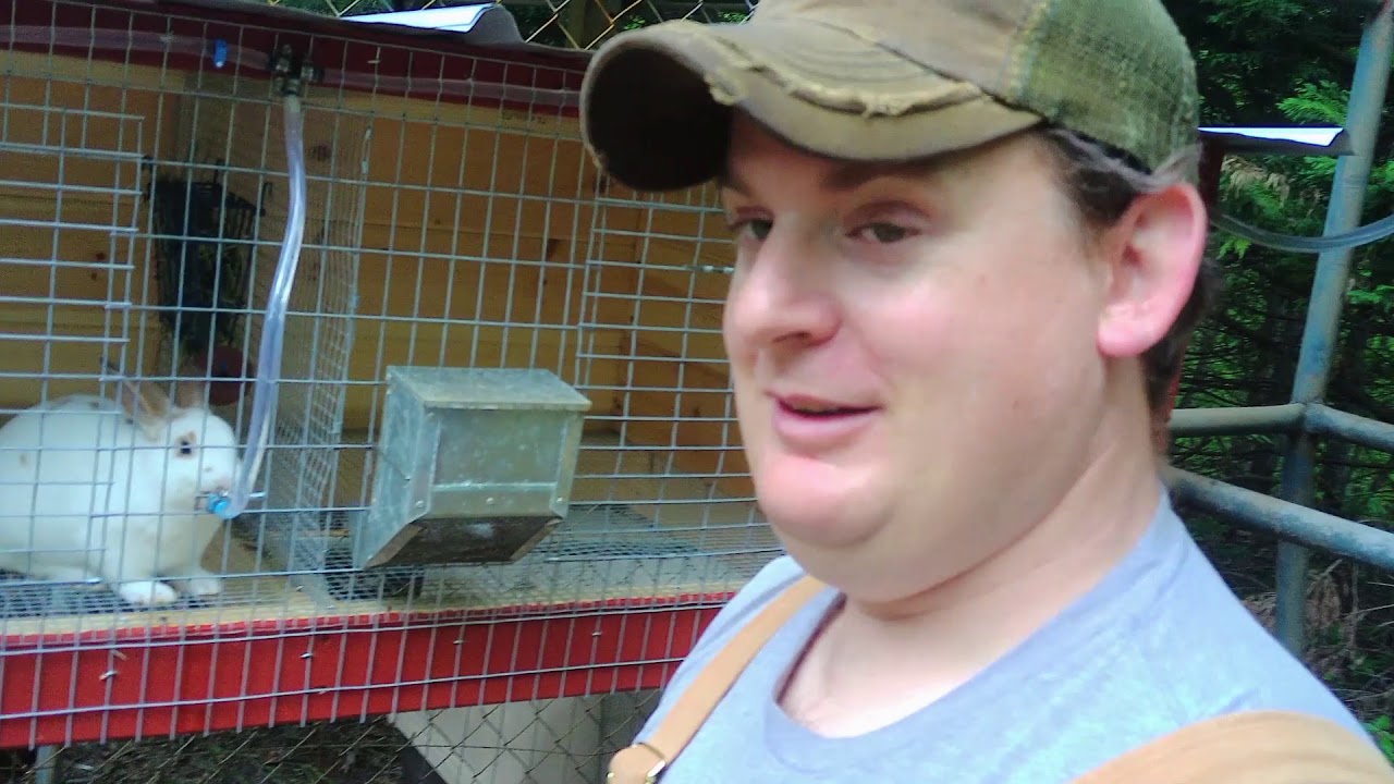Automatic Rabbit Waterer and the Beginning of Our Setup - YouTube