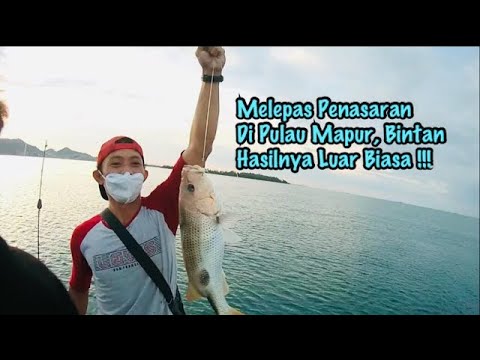 Hasilnya Luar Biasa II Pulau Mapur, Kabupaten Bintan - YouTube