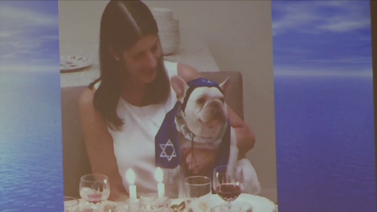 I saved Debra Poneman's dog and turned his life around - YouTube