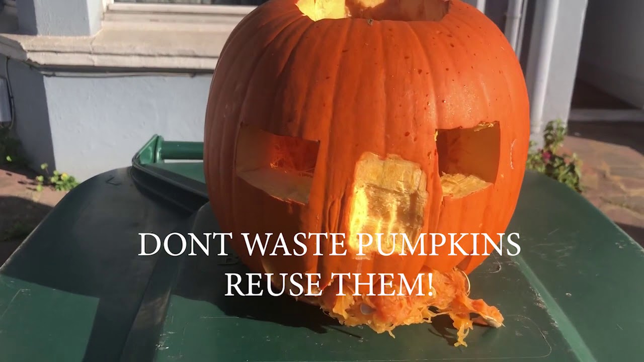 Halloween Pumpkin - Reuse your pumpkins - YouTube