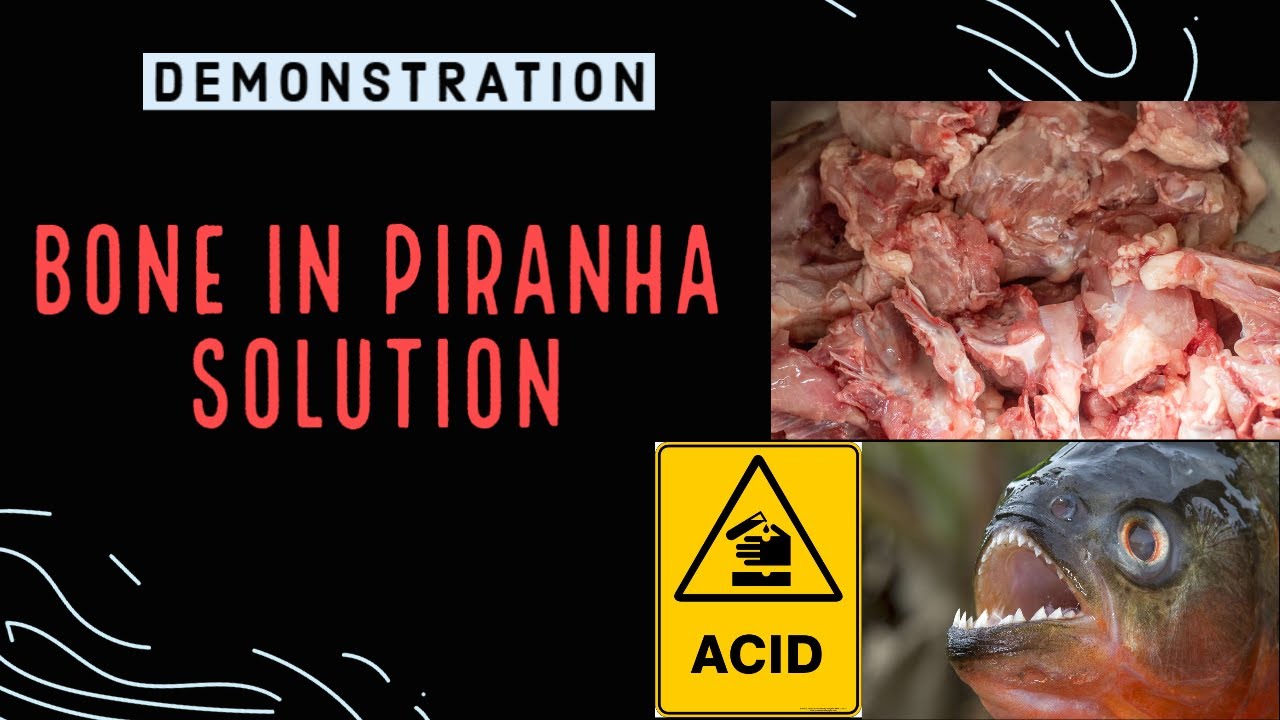 Piranha Solution on Bone - YouTube