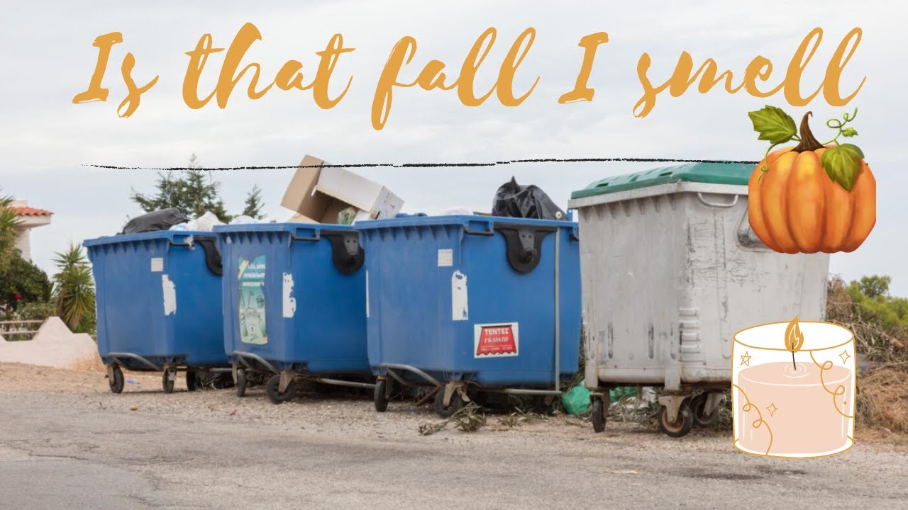 Dumpster diving- Smells like fall to me inside this dumpster (Episode ...