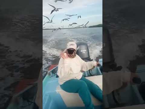 BAHÍA MACAPULE EL TORTUGO. Guasave Sinaloa México - YouTube