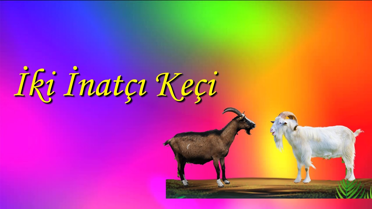 İki İnatçı Keçi - YouTube