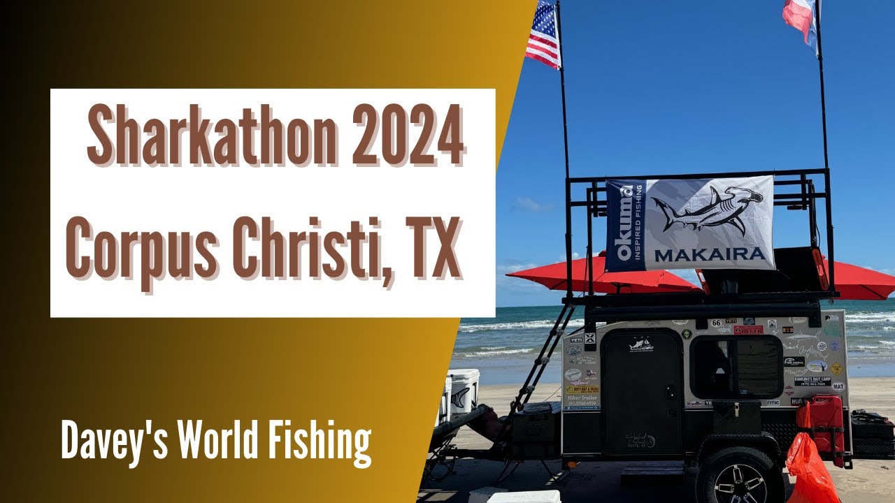 Sharkathon 2024: Beach Action, Big Sharks, and Epic Weigh-In - YouTube