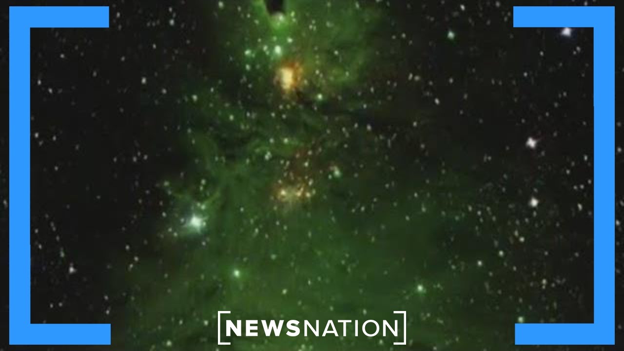 NASA telescope illuminates Christmas tree cluster of stars | The Hill ...