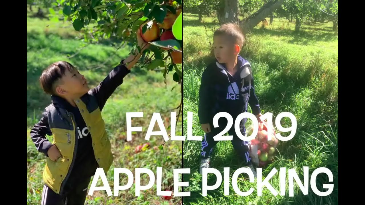 First-Ever Apple Picking at Masker Orchards | Fall 2019 - 뉴욕 애플피킹 - YouTube