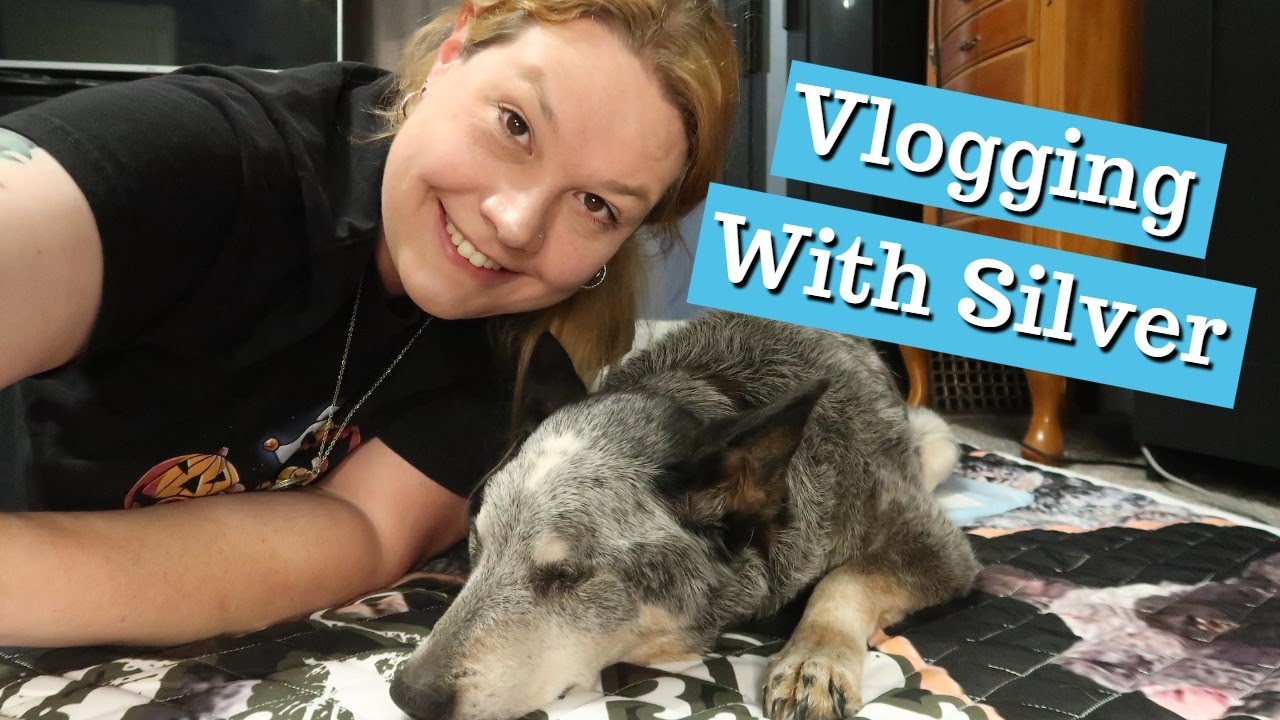 Vlogging With Silver ~ And You Get To See Some Other Critters Too ...
