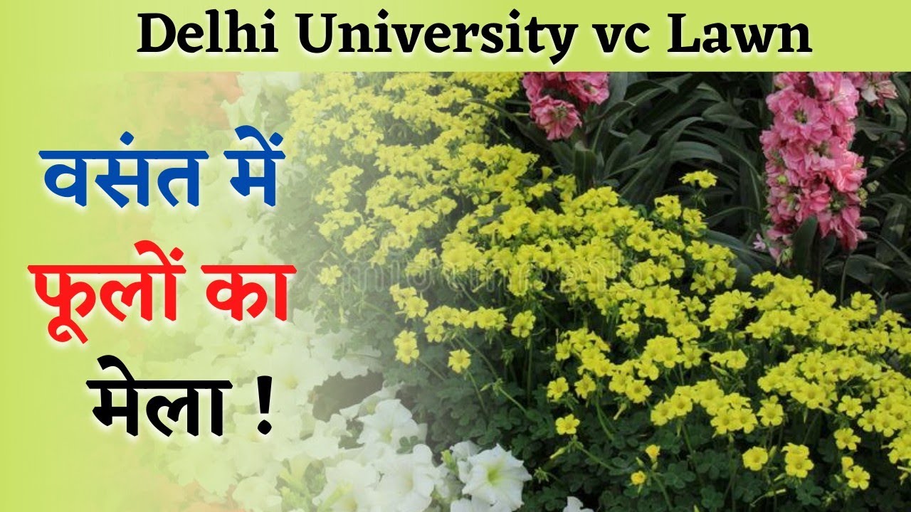 DU VC office lawn - YouTube